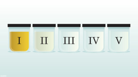 Base Oils: An In-depth Look