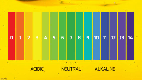 The Elusive Acid Number: What Does It Really Mean?