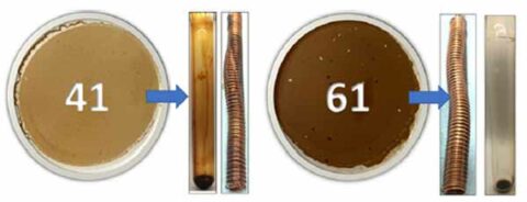How to Select Turbine Oils Strategically for Improved Results Now