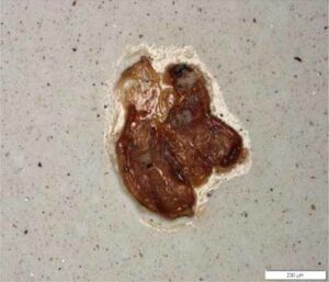 Advanced Methods for Detecting and Measuring Soluble and Insoluble Varnish